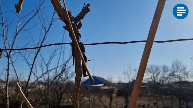 Что думают жители Гагаузии о блокировке портала Gagauznews?