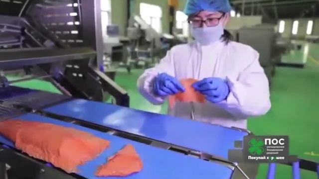 Автоматический слайсер (порционер) для нарезки рыбы или мяса на тонкие ломтики одинаковой толщины