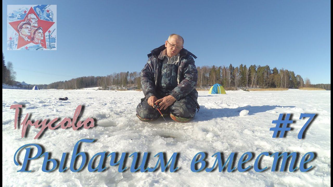 Зимняя рыбалка в Трусово. Истринское водохранилище. Погладить кошку на удачу. Архив 2015.