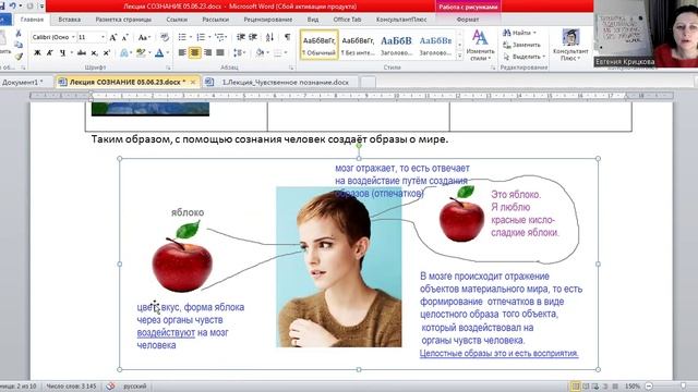 Что такое сознание в обычной жизни и ЕГЭ.