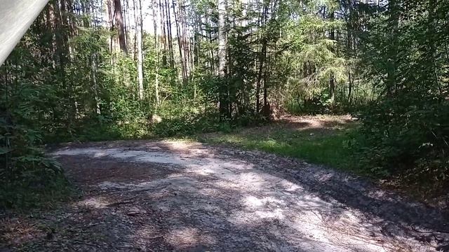 Гриденино - озеро Холодное (16.07.2024 - 17.07.2024)