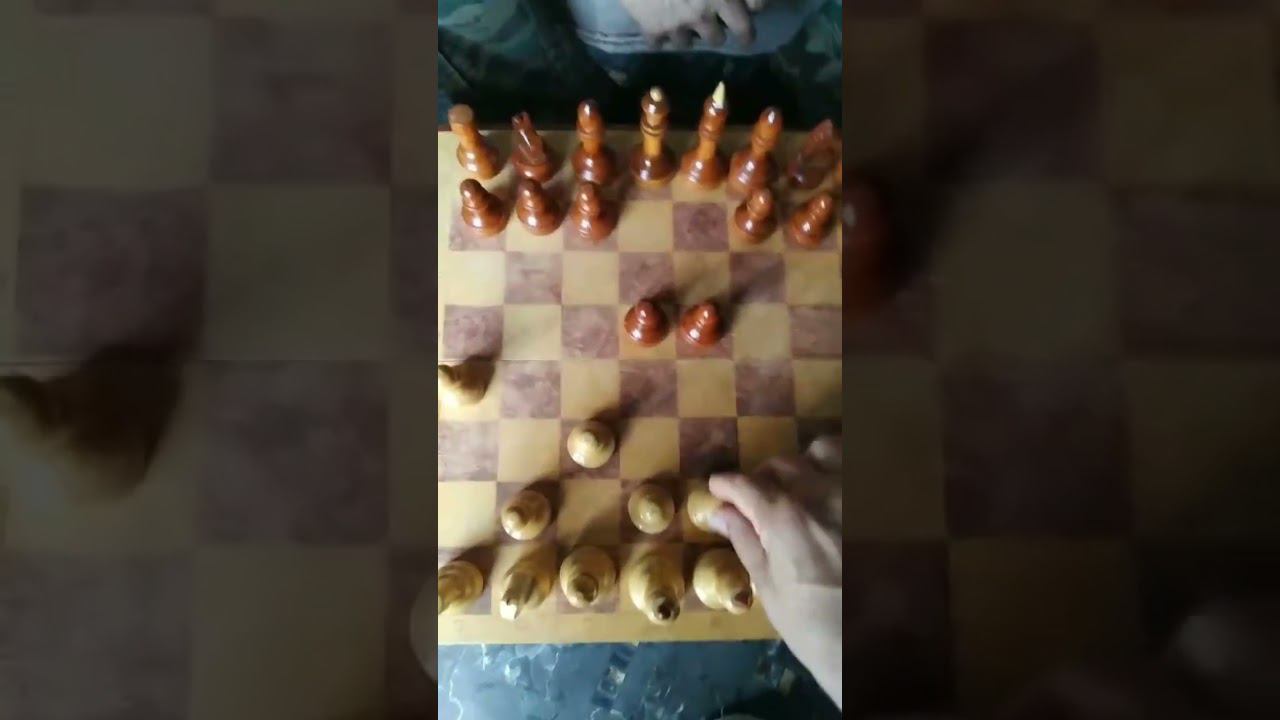 Виноградное начало