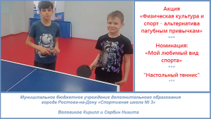 Настольный теннис