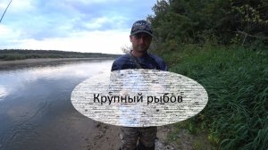 Приехали за жерехом и судаком, а клевали они ...