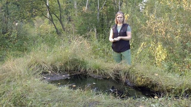 Памятник природы "Таловские чаши"