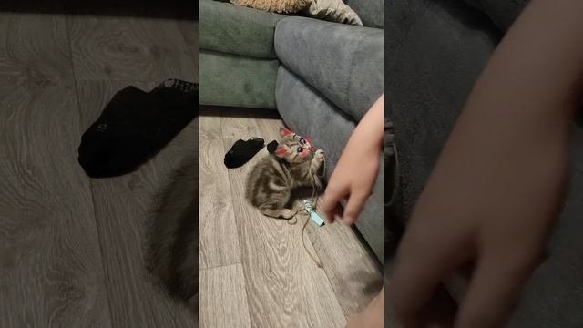 1000028545.mp4
