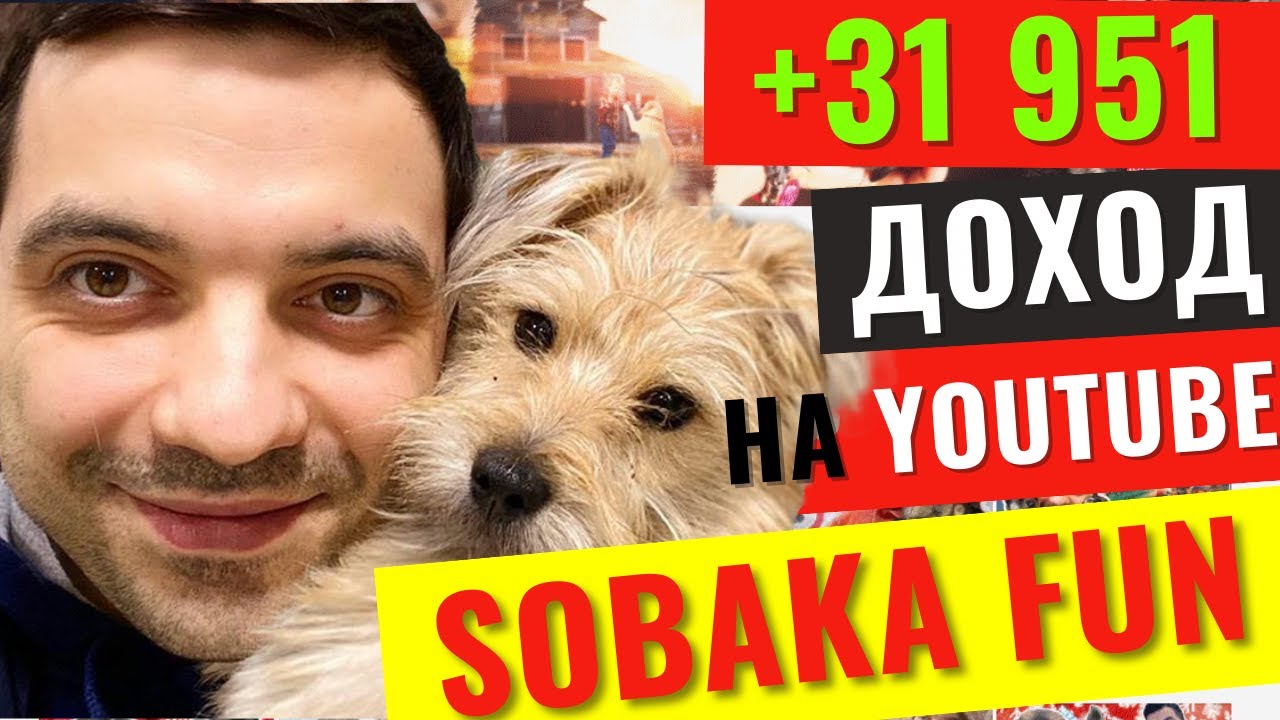 Собака Фан Обзор Канала. Сколько зарабатывает канал на YouTube?