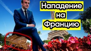 Новости из Telegram...Клопы в Париже...