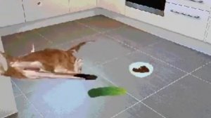 Предлагайте игры на пк для видео