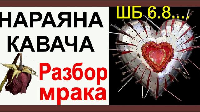 НАРАЯНА КАВАЧА