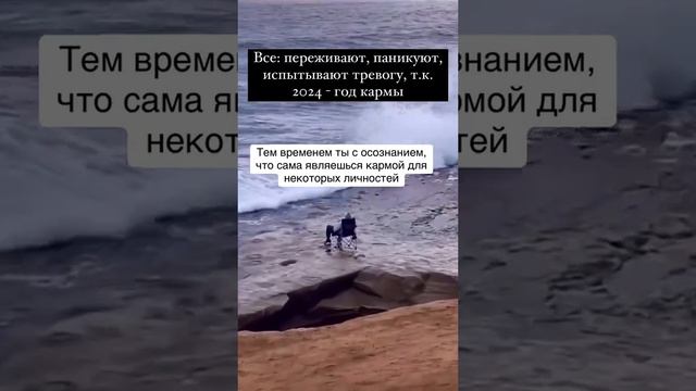 2024 - год кармы