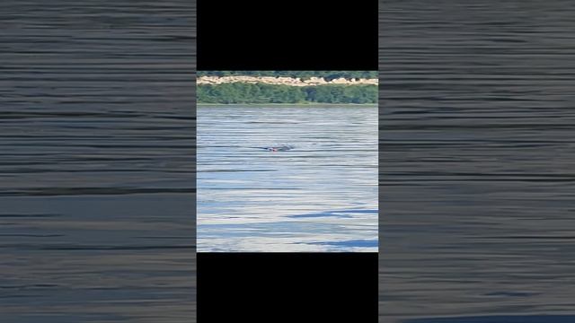 4 часть рыбалки