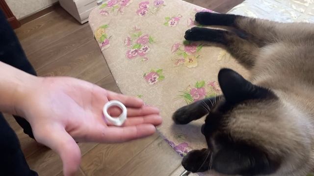 Как мы с Симкой играем в игру "Угадай, в какой руке резиночка".