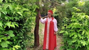 Театральная постановка сказки "Эльф и потерянное лето"