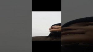 Мы подумали что у зоброшки есть бомж