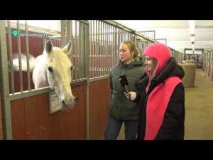Московский конный завод №1 отметит 100-летний юбилей
