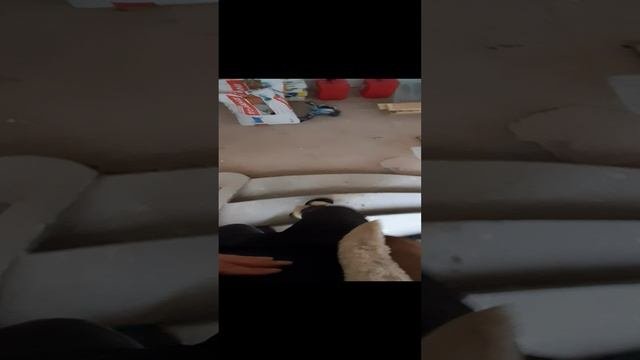 монолитная лестница из бетона на титевах с просветами