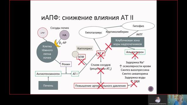 Фарма ВСЕ 12.2. Средства, влияющие на РААС.mp4