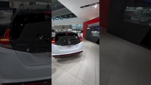 Leaf NISMO ?