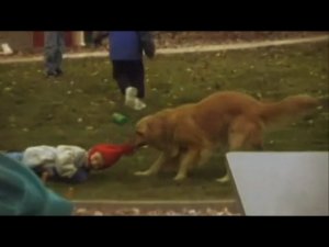 Плохой пёс (Bad Dog!)