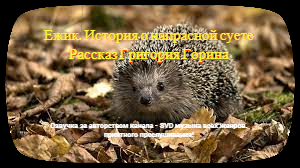 Рассказы — Ежик. История о напрасной суете.
