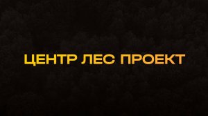 ООО "ЦЕНТР ЛЕС ПРОЕКТ"