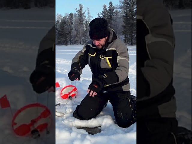 Снова жерлица и снова щука #short #shorts