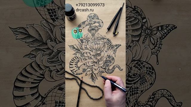 download_video (11).mp4