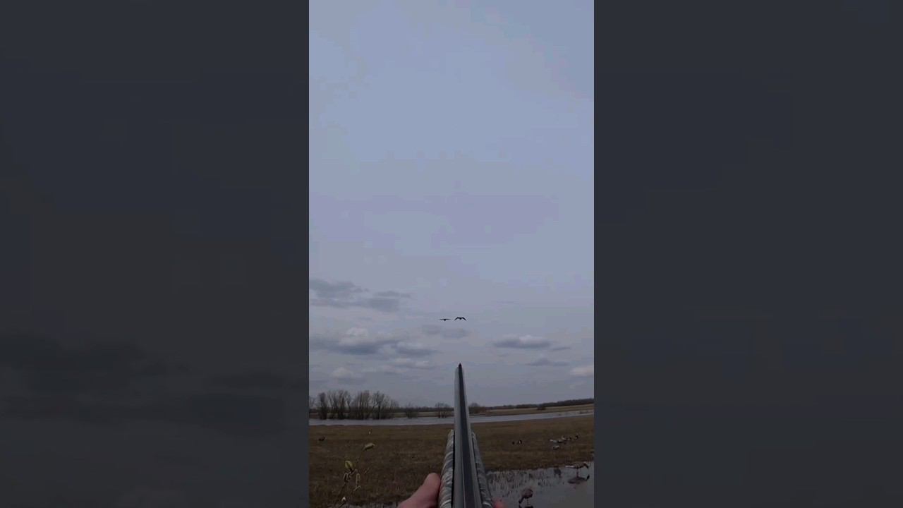 С Охоты На рыбалку на RUTUBE: 157 видео – смотреть онлайн и бесплатно ...