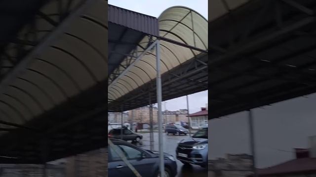 Спортивные голуби (Почтари)