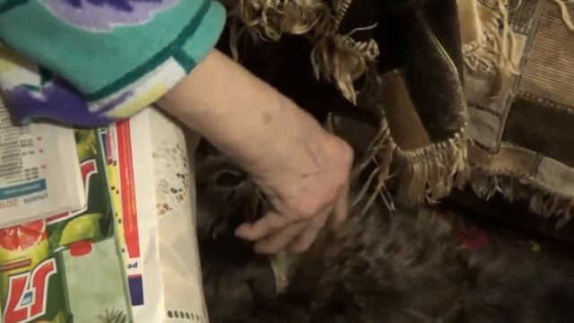 чеканутая