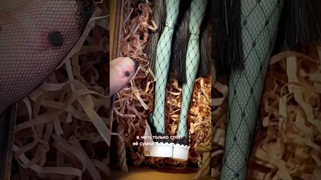 Стоимость куклы в конце видео, как вы и просили) #ооак #кукла #готика