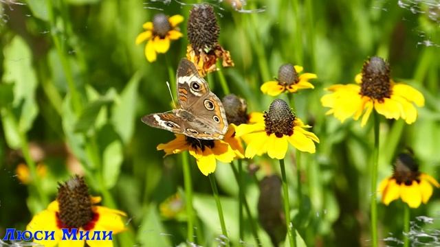 Хочется делать добрые поступки, но некоторые люди всякое желание отбивают.Реальные истории из жизни
