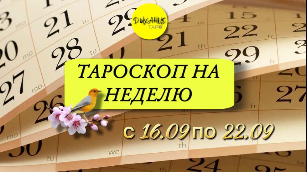 Таро-прогноз на неделю с 16 по 22 сентября