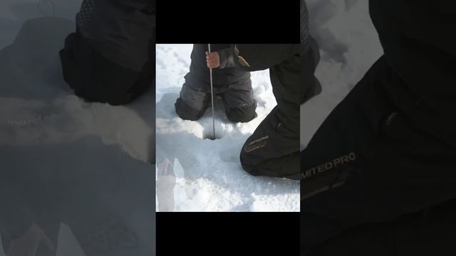 Лёд 2,5 метра! Судаки по 6 кг!