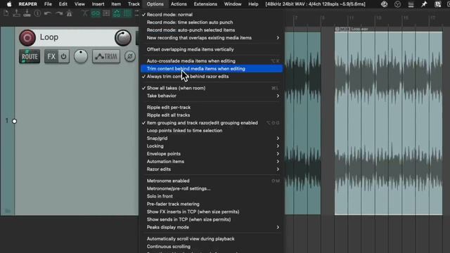 This is REAPER 7 - Basic Audio Editing