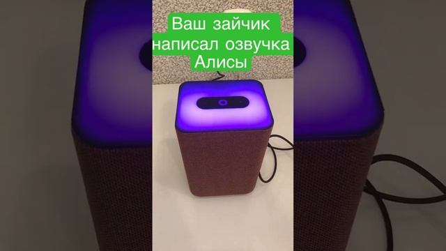 ПРИКОЛЫ С ЯНДЕКС АЛИСОЙ 2 АЛИСА СКАЖИ- « ЗАЙЧИК НАПИСАЛ