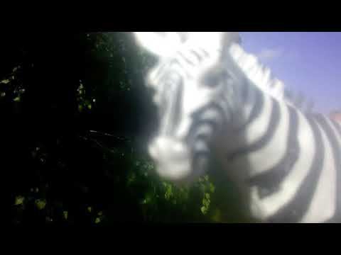 Сериал  Schleich  Believe in yourself серия  4