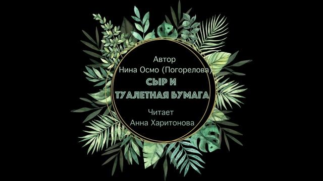 Рассказ "Сыр и туалетная бумага". Нина Осмо (Погорелова)
