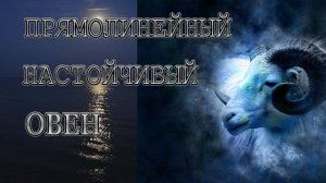 ♈️Прямолинейный, настойчивый и немного инфантильный – Овен ♈️