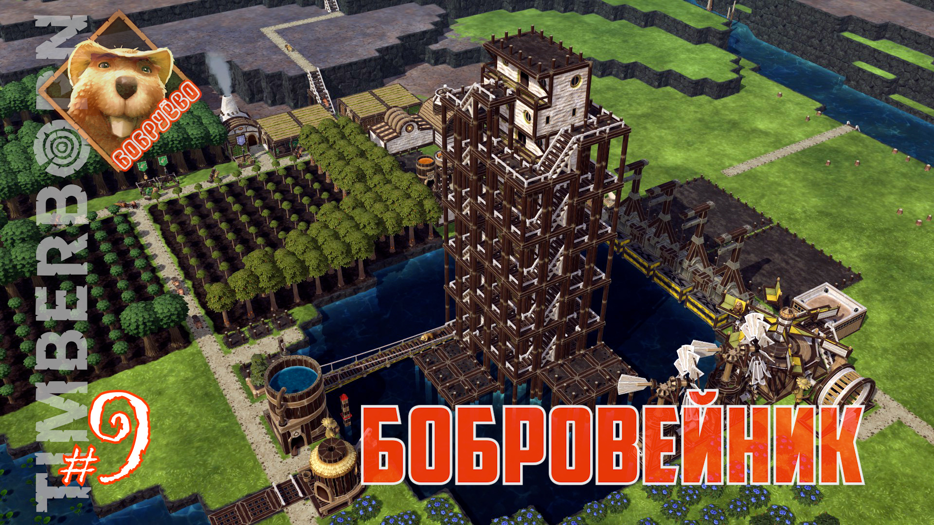 Бобруёво-09: Бобровейник (Timberborn 2024)