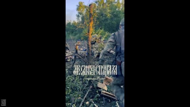 Отражение наступления на южном фронте