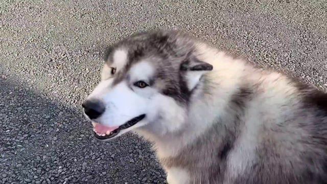 🎥Очаровательные Милые на свете!!=3