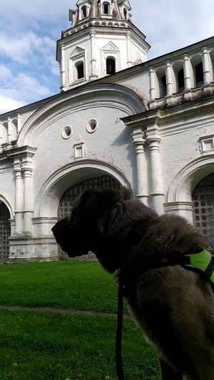 Kangal Вик в настоящем Измайловском кремле (Усадьба Измайлово)