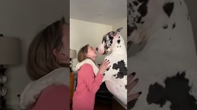 VID_20231003_224549_307.mp4