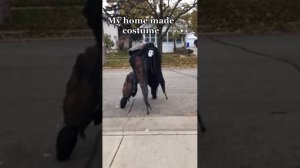 Страшный костюм на хэллоуин