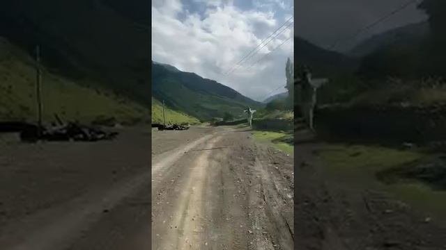 Горный козел вист на проводах