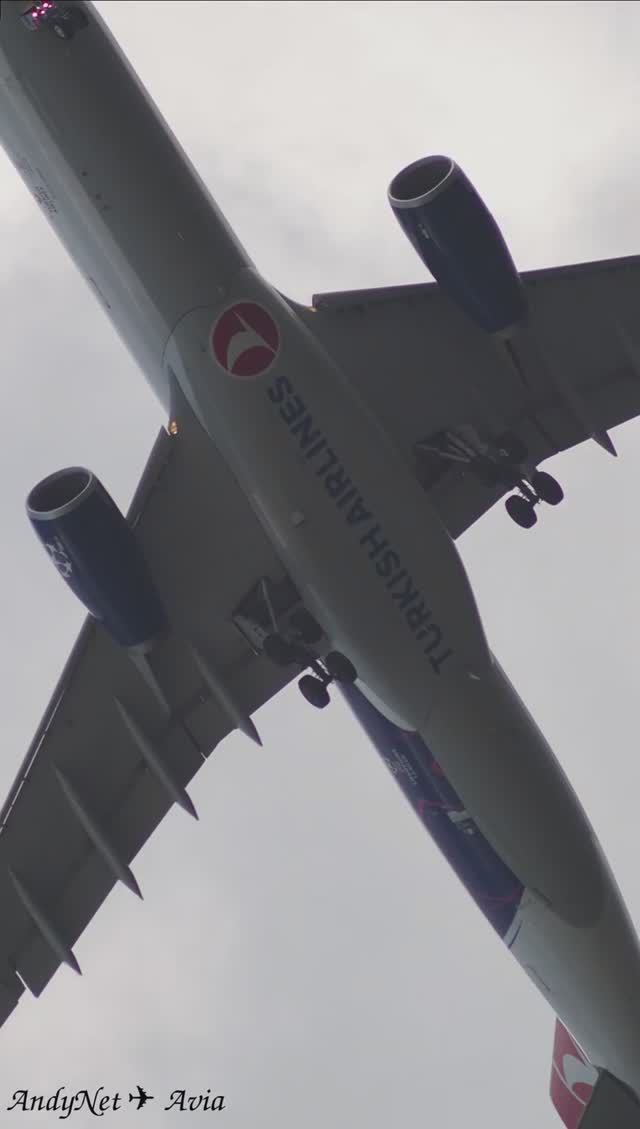 Airbus A330-343 Турецких Авиалиний [TC-JNM] заходит на посадку во Внуково (VKO/UUWW) 26.05.2023