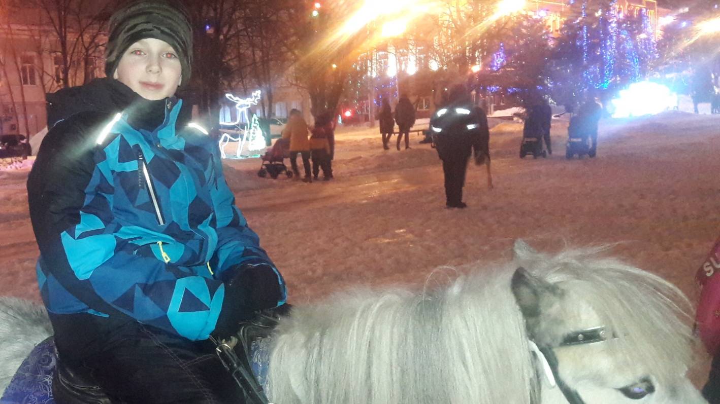 Ездил я зимой на лошади #Энгельс #лошадки #НовыйГод