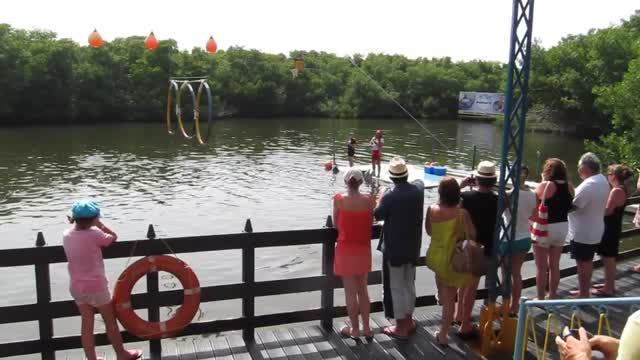 Куба. Дельфины